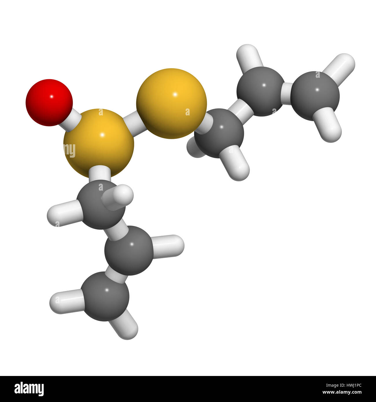 Allicin garlic molecule. 3D rendering. Formed from alliin by the enzyme ...