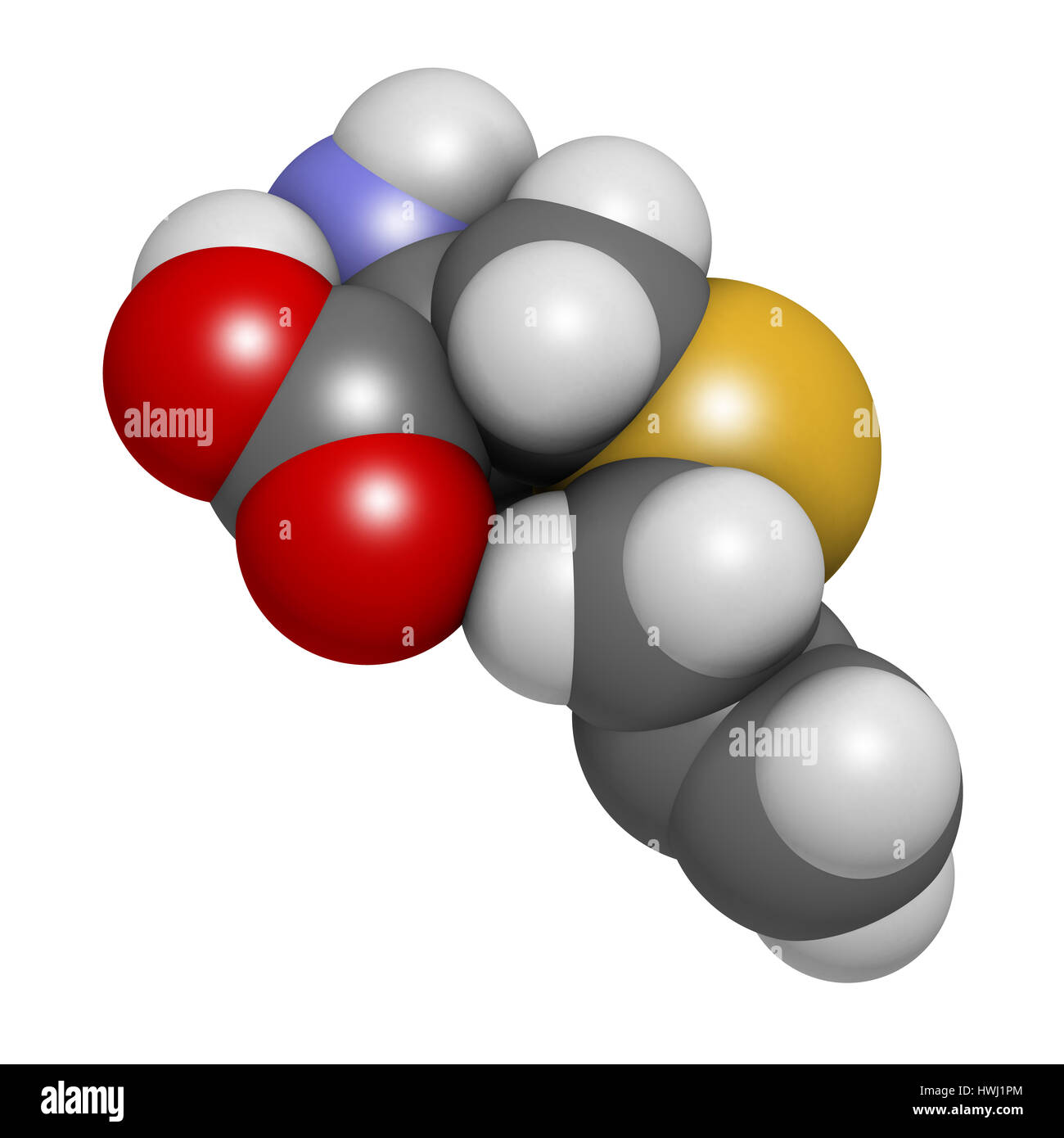 Alliin garlic molecule. 3D rendering. Atoms are represented as spheres ...