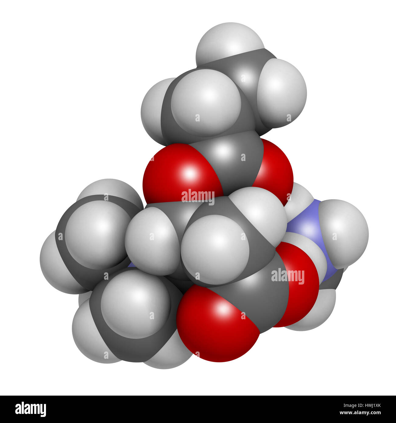 GPLC (glycine propionyl-L-carnitine) nutritional supplement molecule ...
