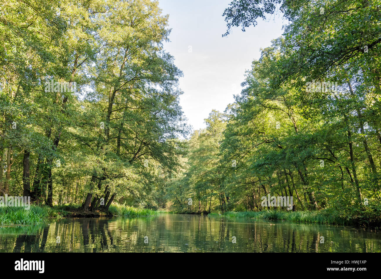 National park spreewald hi-res stock photography and images - Alamy