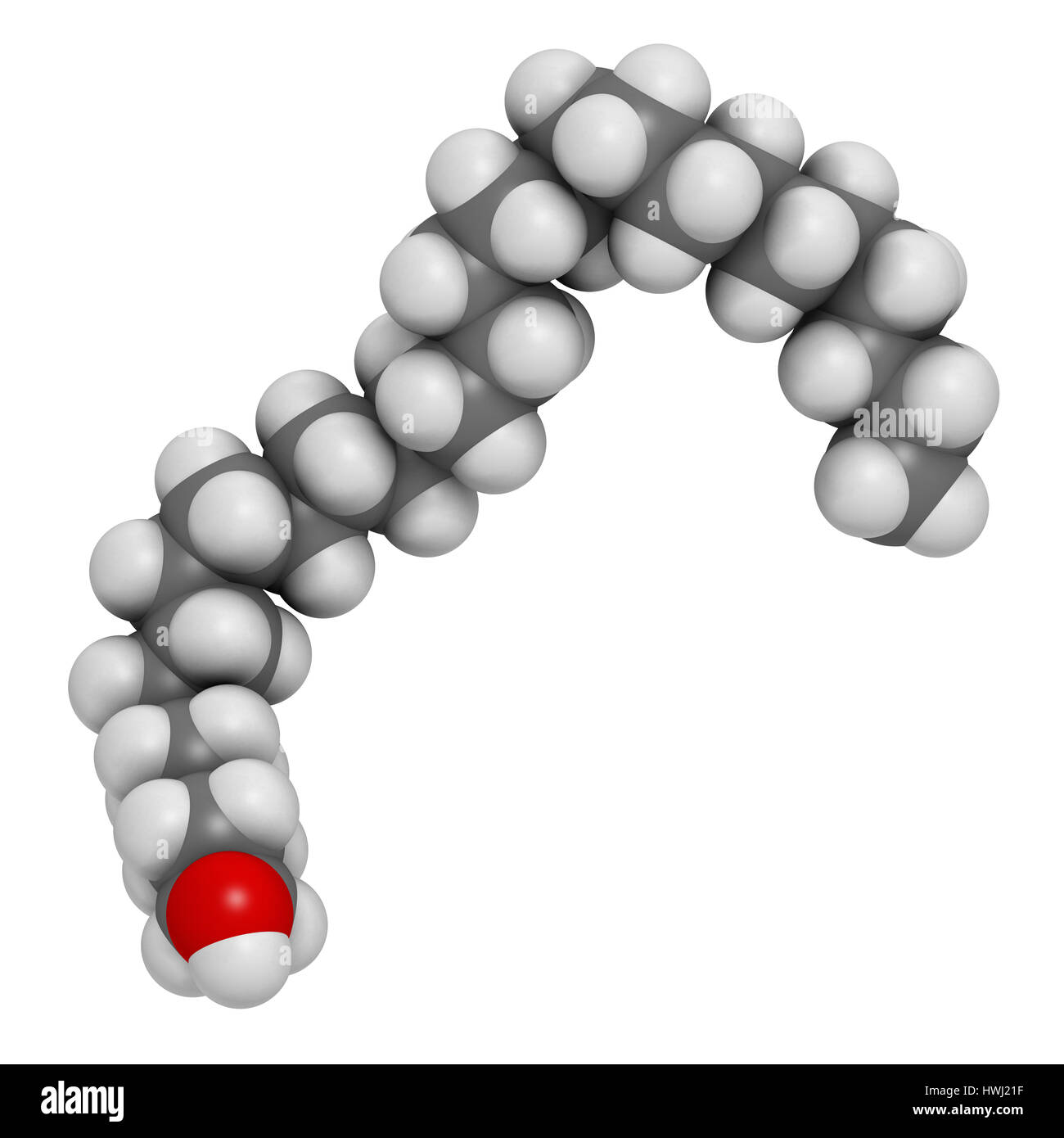 Octacosanol plant wax component molecule. 3D rendering. long chain ...