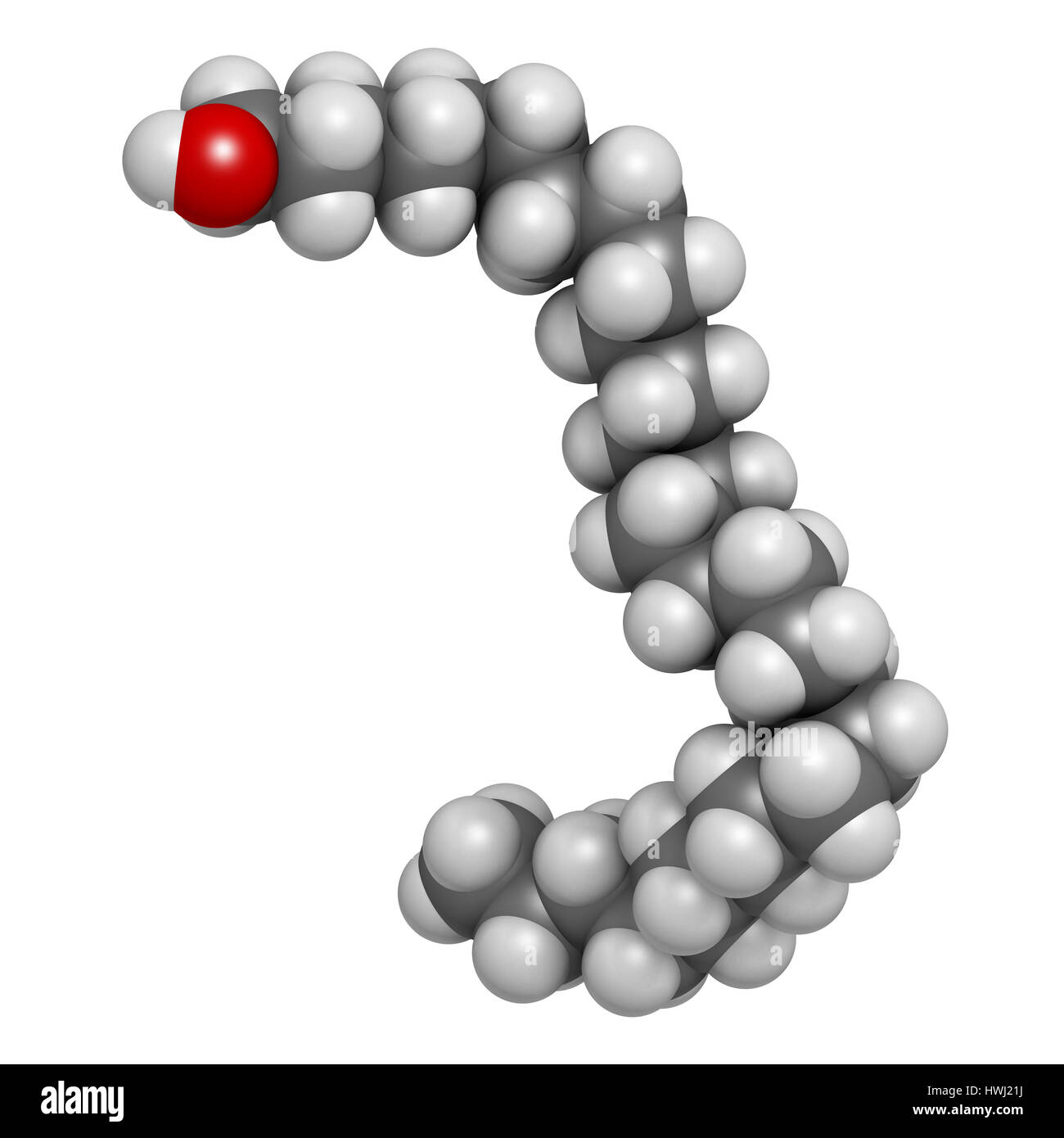 Octacosanol plant wax component molecule. 3D rendering. long chain ...