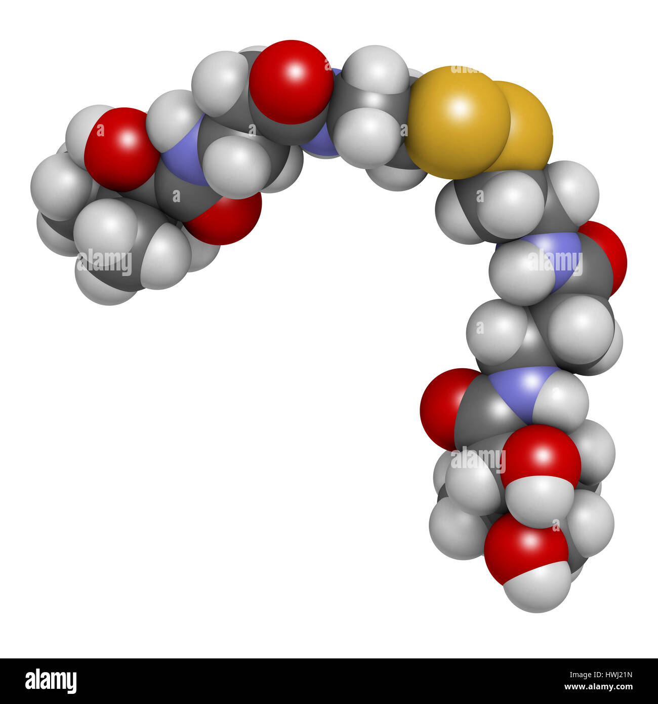 Pantethine (dimeric vitamin B5) molecule. 3D rendering. Used in dietary ...