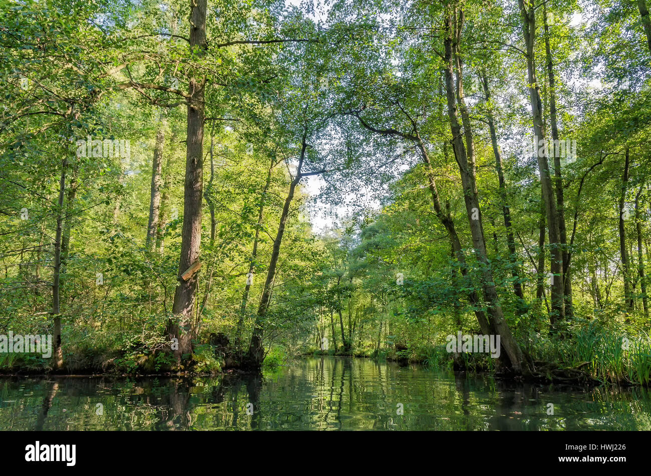 Spreewald hi-res stock photography and images - Alamy