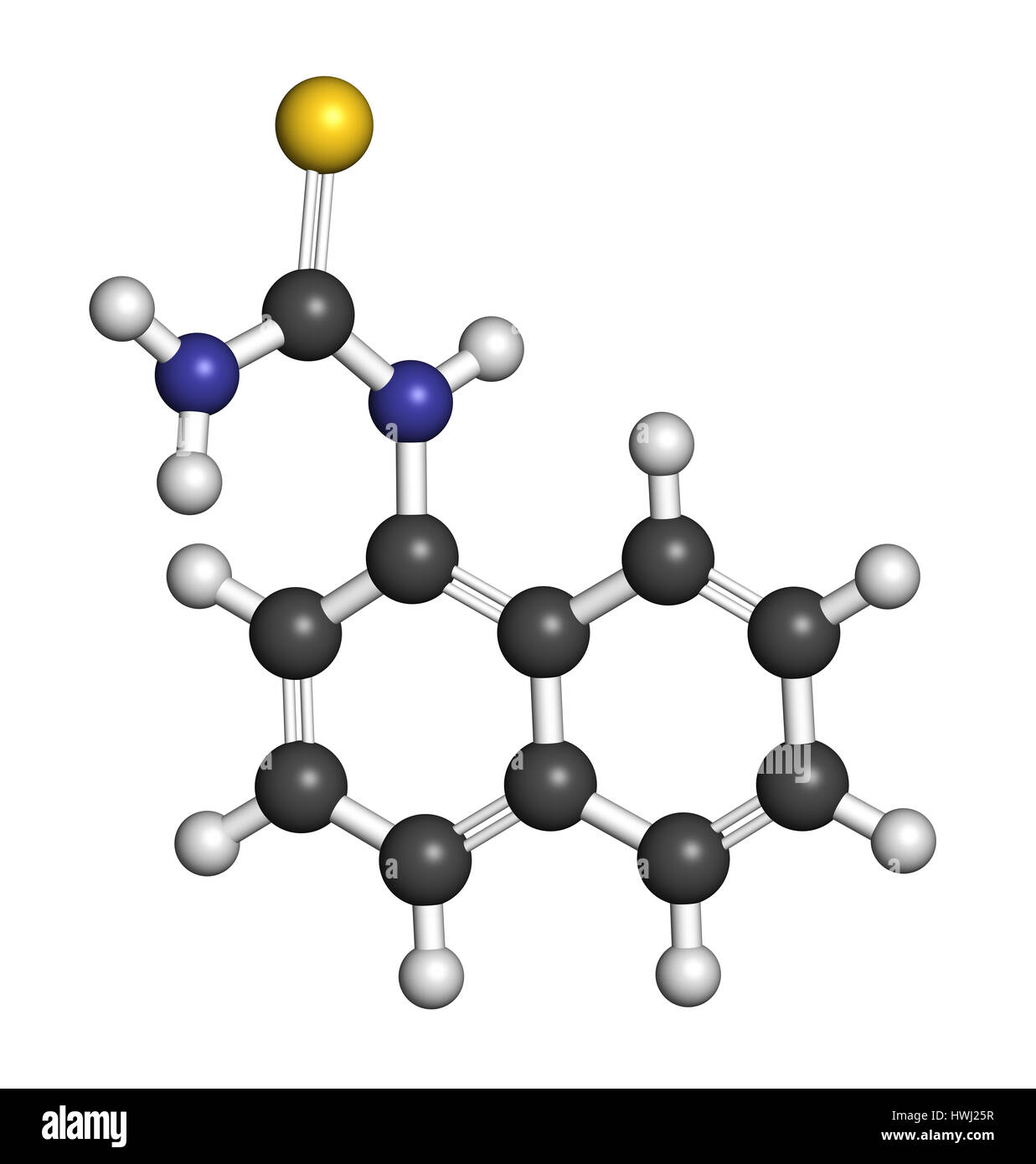 Alpha-naphthylthiourea (ANTU) rodenticide molecule. 3D rendering. Atoms ...
