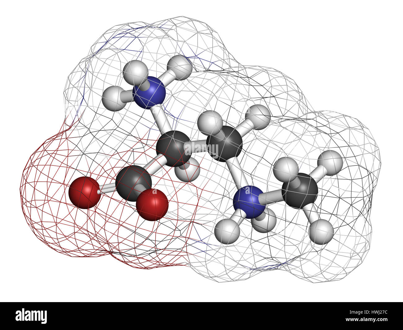 beta-Methylamino-L-alanine (BMAA) toxic amino acid molecule. Produced ...