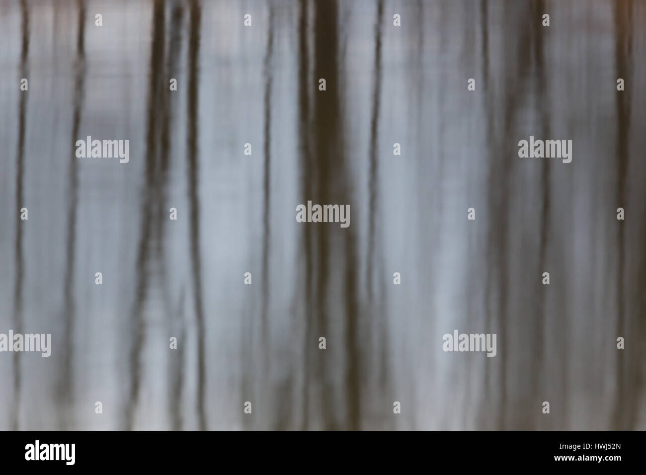many natural tree trunks reflected from water surface Stock Photo - Alamy