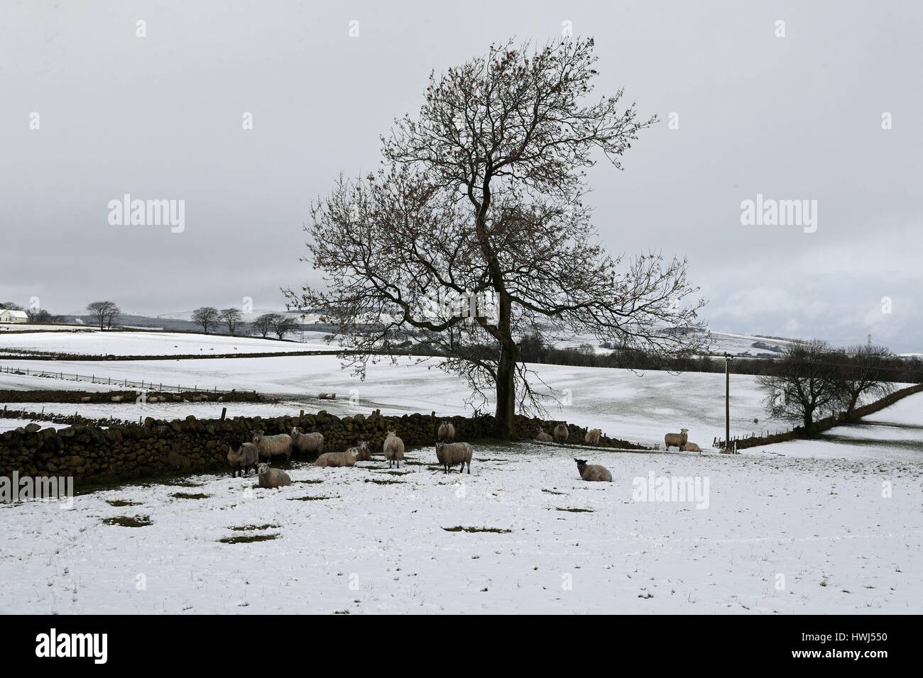 Overnight snow lies on the hills and fields around Banknock in the ...
