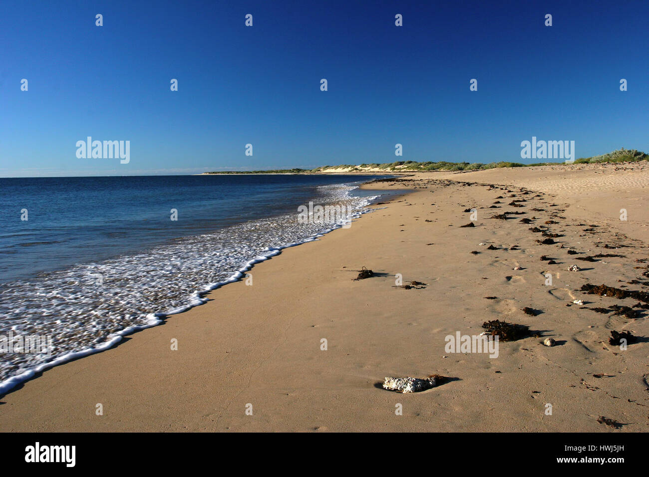 Sandy Endless Beach with Calm Sea and Blue Sky in Western Australia ...
