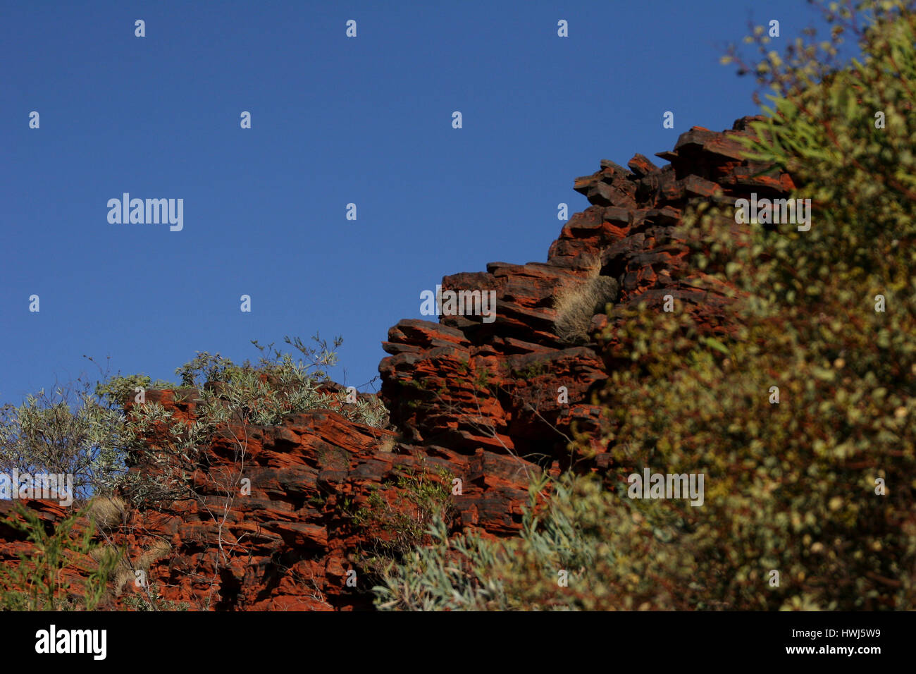 Glowing red rock face and bush with blue sky near Mount Nameless in Tom ...
