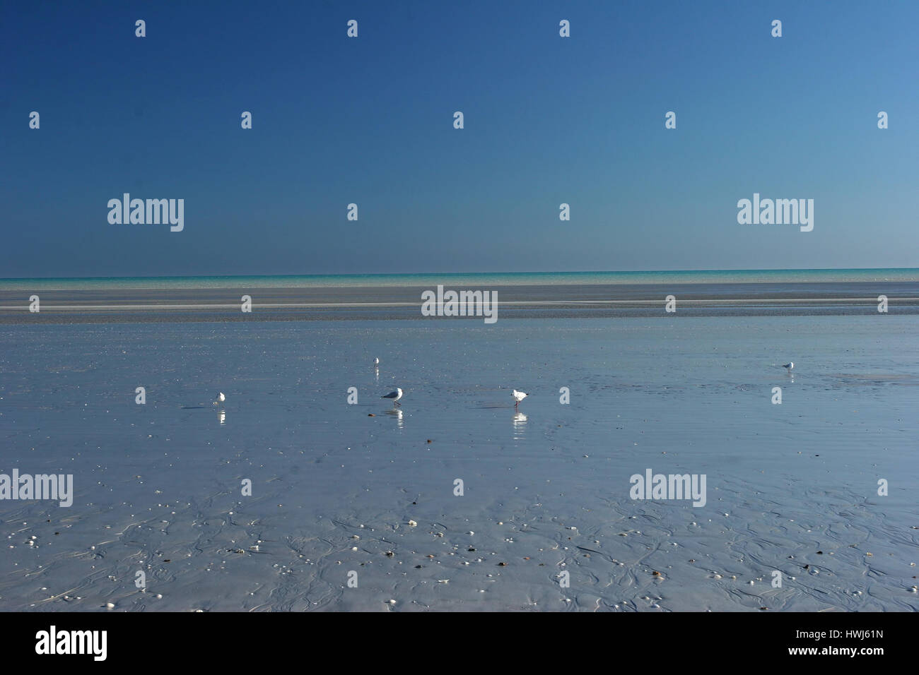 Eighty mile beach hi-res stock photography and images - Alamy