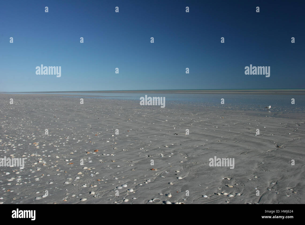 Eighty mile beach western australia hi-res stock photography and images ...