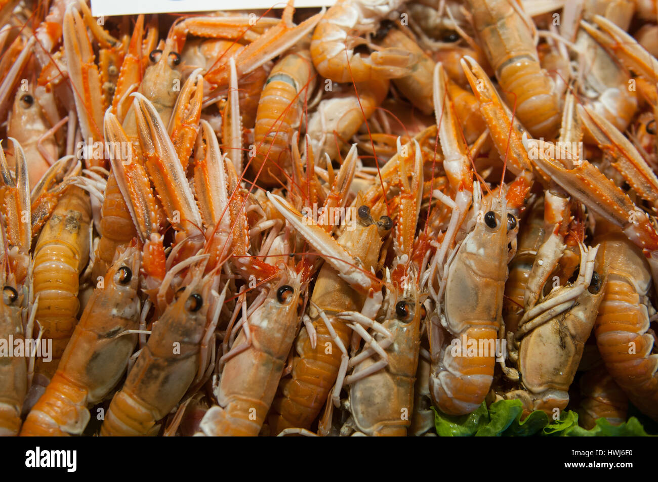Prawns at Rialto fish market in Venice Stock Photo - Alamy