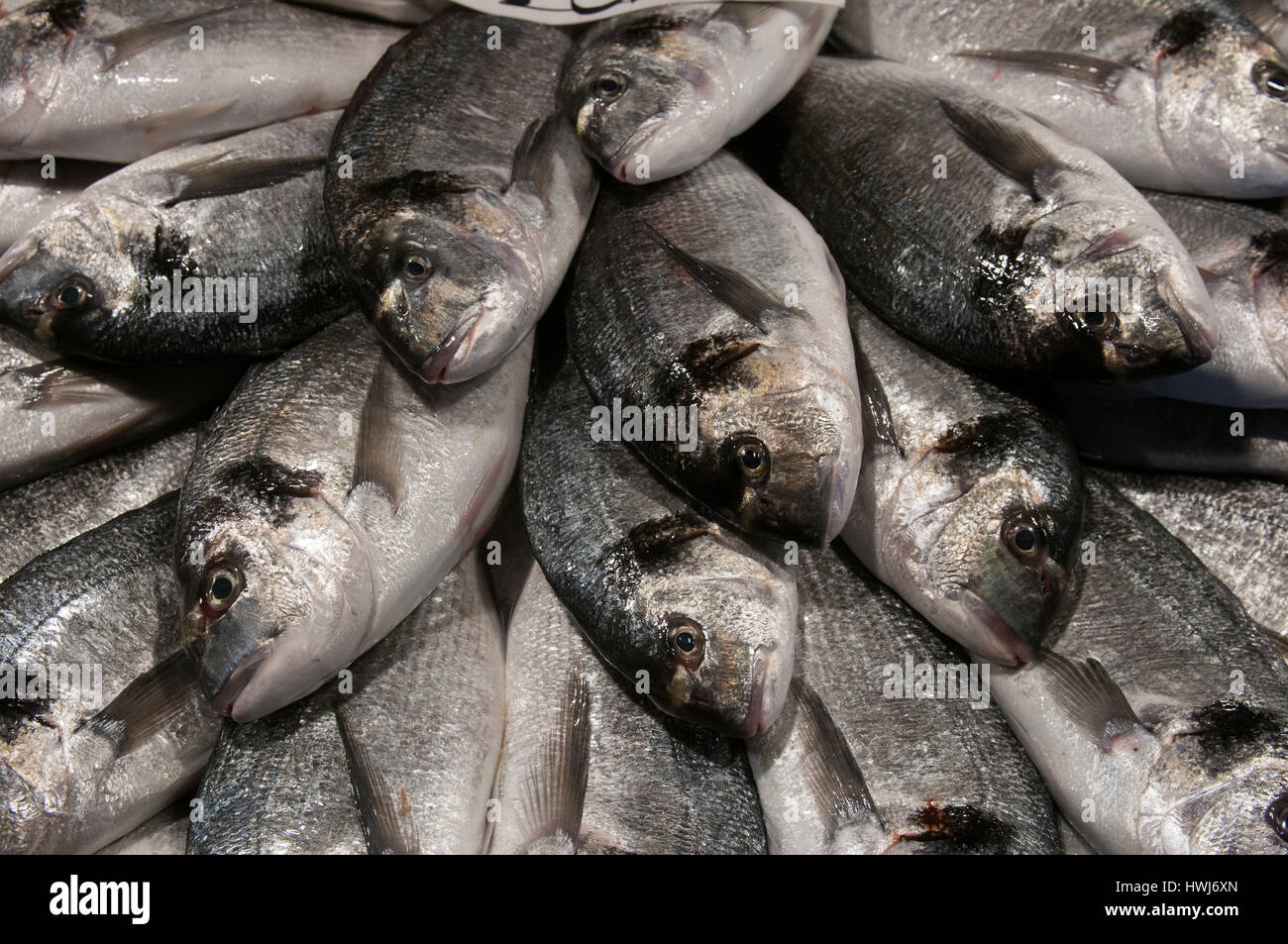 Seabreams at Rialto fish market in Venice Stock Photo - Alamy