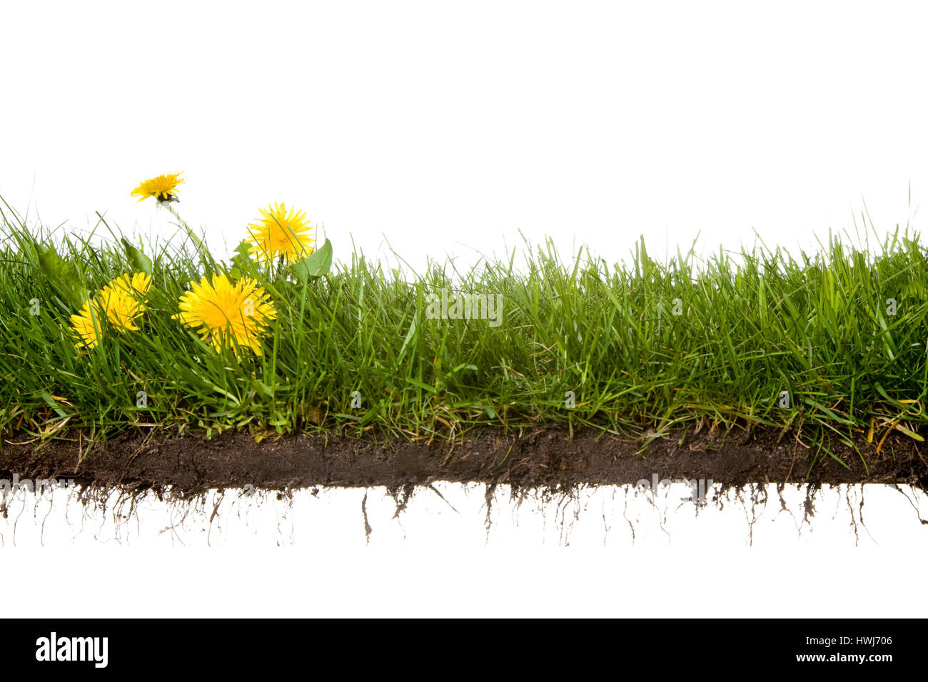 Soil cross section and grass hi-res stock photography and images - Alamy