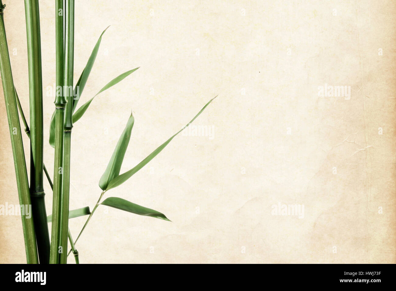 bamboo leaves border on vintage old paper background with copy space ...