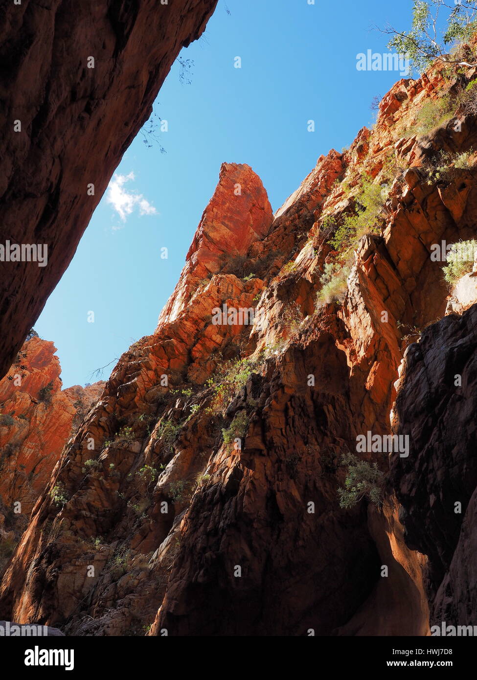 Late afternoon view up the deep Standley Chasm in the McDonnell Ranges ...