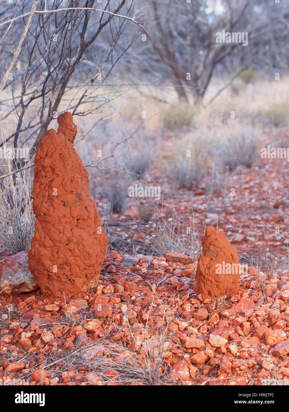 Two Termite Mounts in the outback near Simpsons Gap, McDonnell Ranges ...