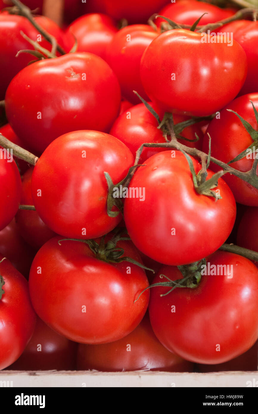 Italy landscape tomatoes hi-res stock photography and images - Alamy