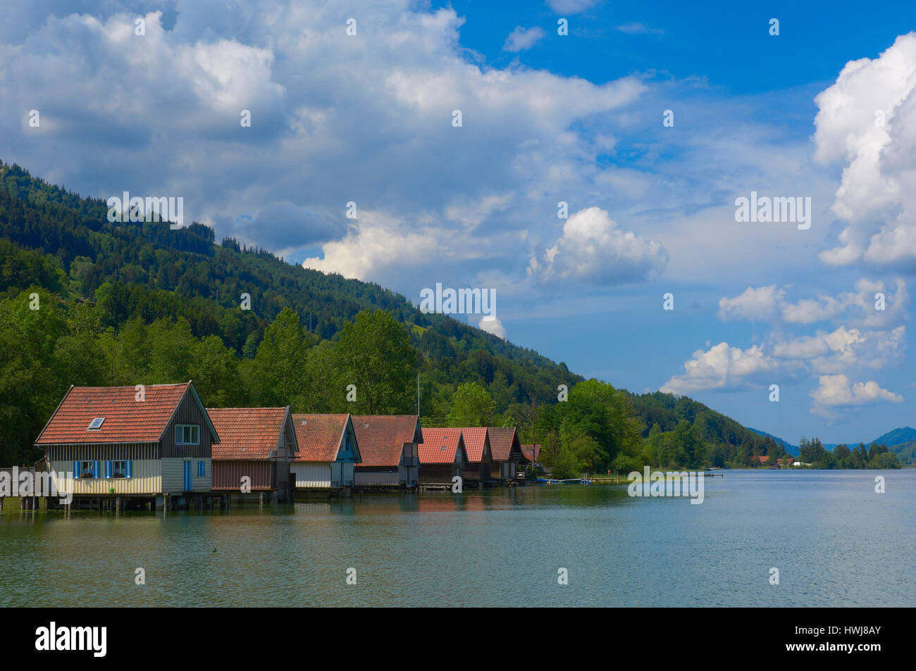 Buhl, Lake Buhl, Alpsee lake, Allgau, Bavaria, Germany, Europe Stock ...