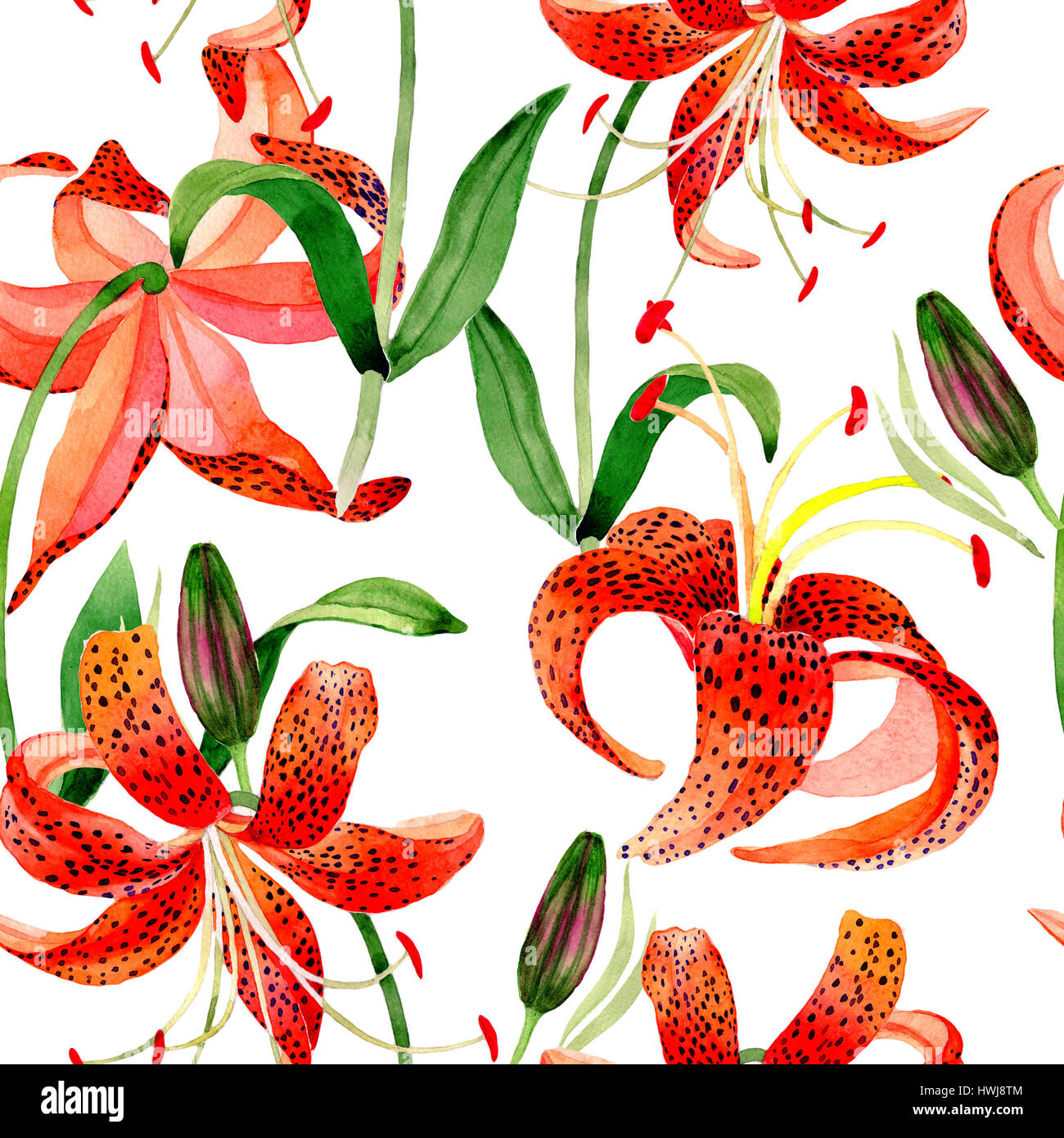 Wildflower leopard lily flower pattern in a watercolor style isolated ...