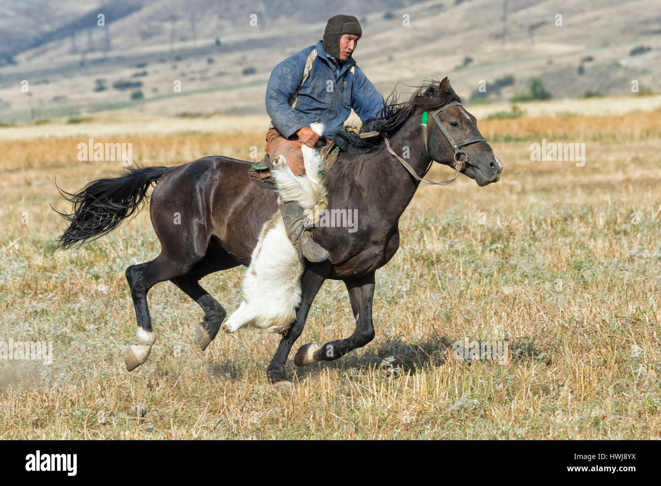 Traditional Kokpar or buzkashi in the outskirts of Gabagly national ...