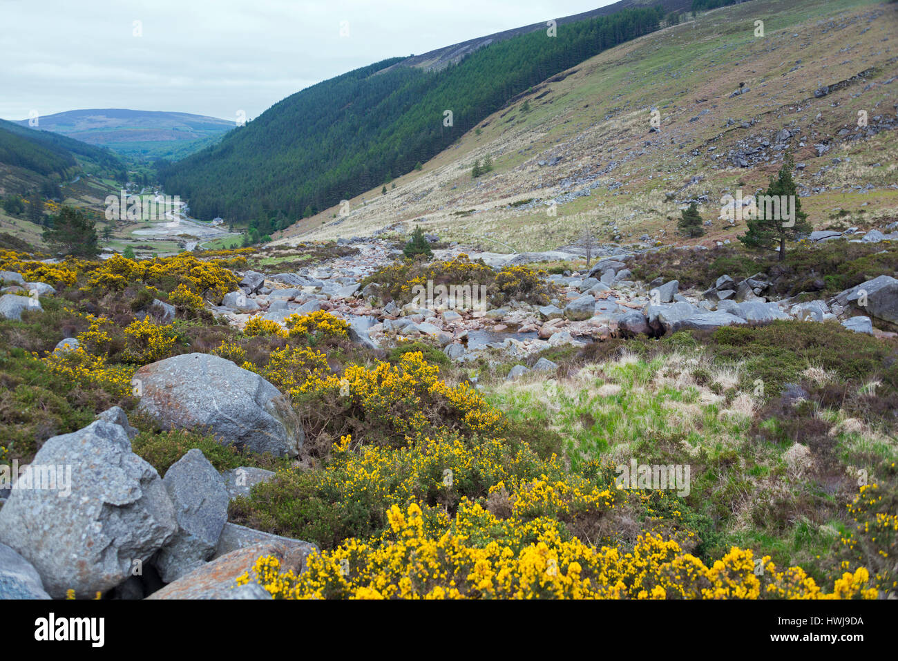 Wicklow Gap, Wicklow mountains, County Wicklow, Ireland Stock Photo - Alamy