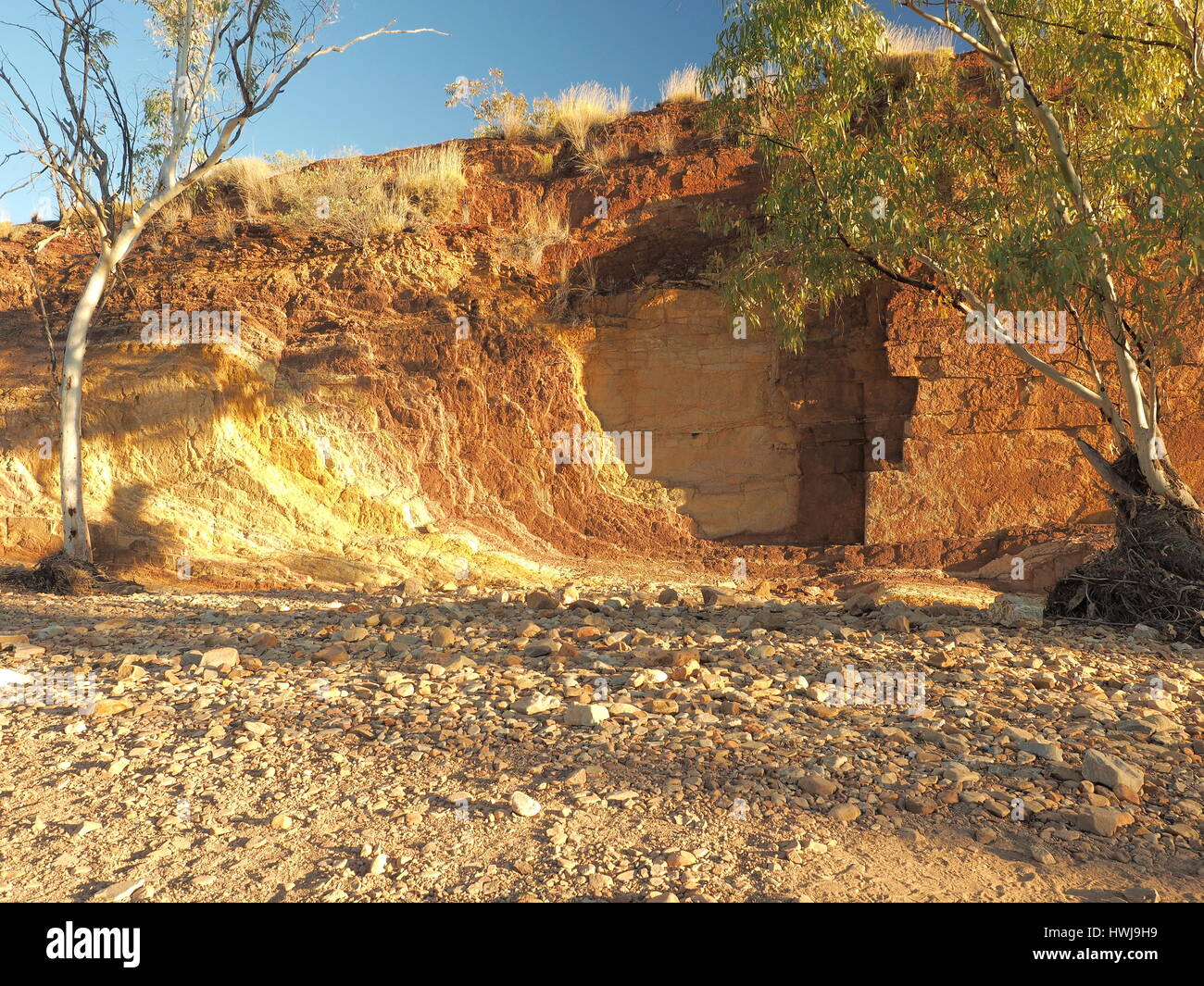Ochre lined wall and tree in the dry creek at the McDonnell Ranges ...