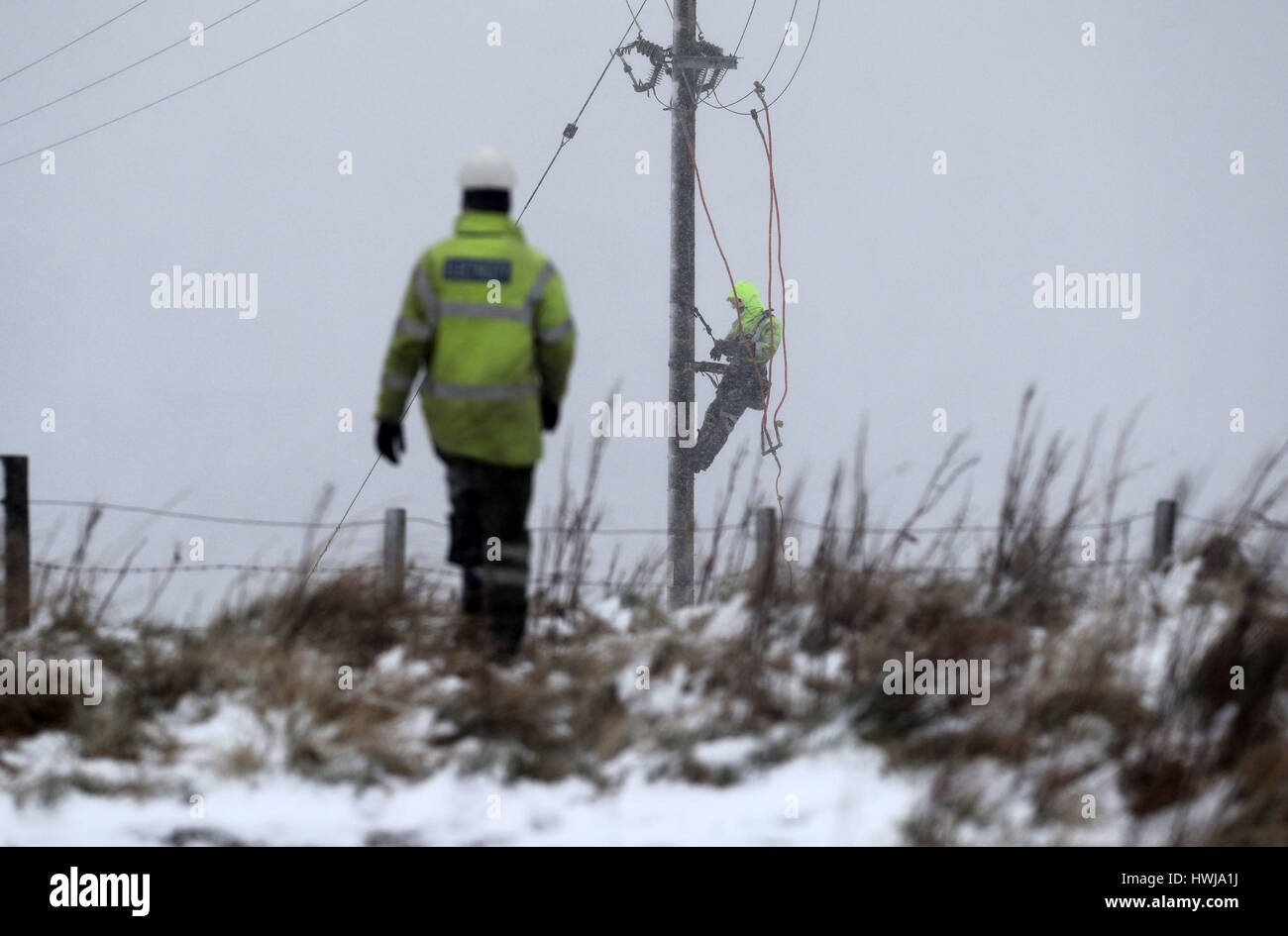 A Scottish Power engineer up a telegraph pole in blizzard snow ...