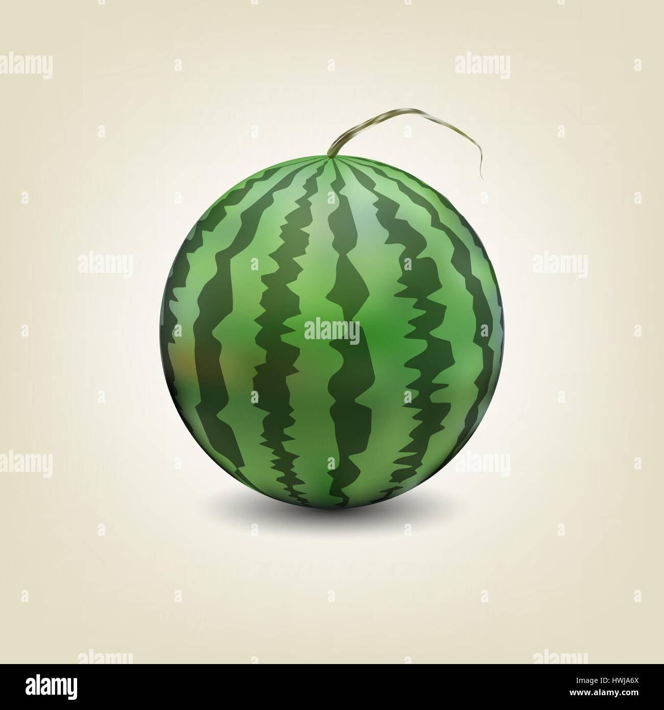 Photo realistic watermelon isolated on white background with shadow ...