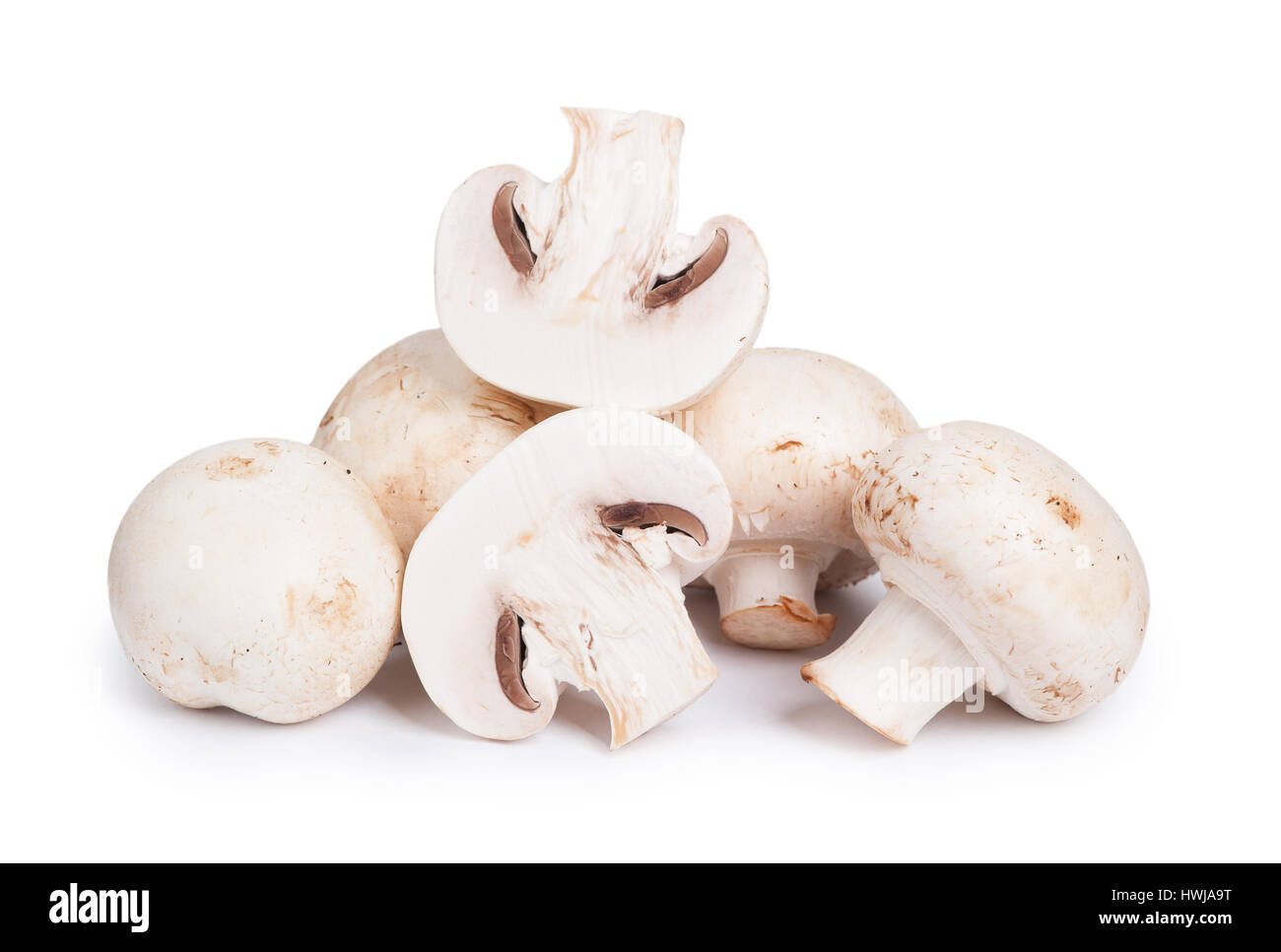 Champignon mushrooms isolated on white background Stock Photo - Alamy