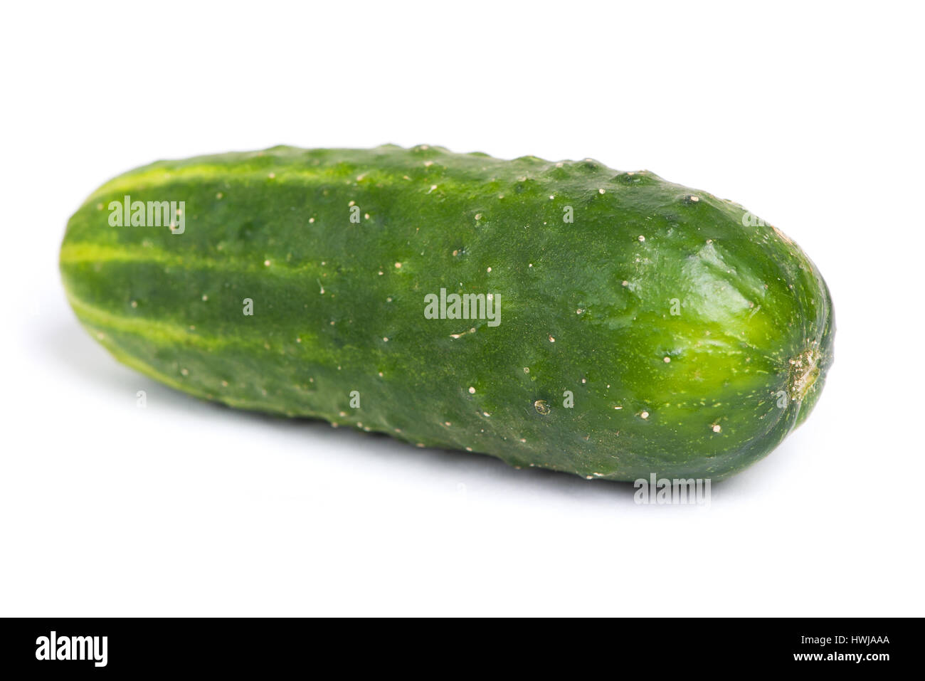 One cucumber isolated on white background Stock Photo - Alamy