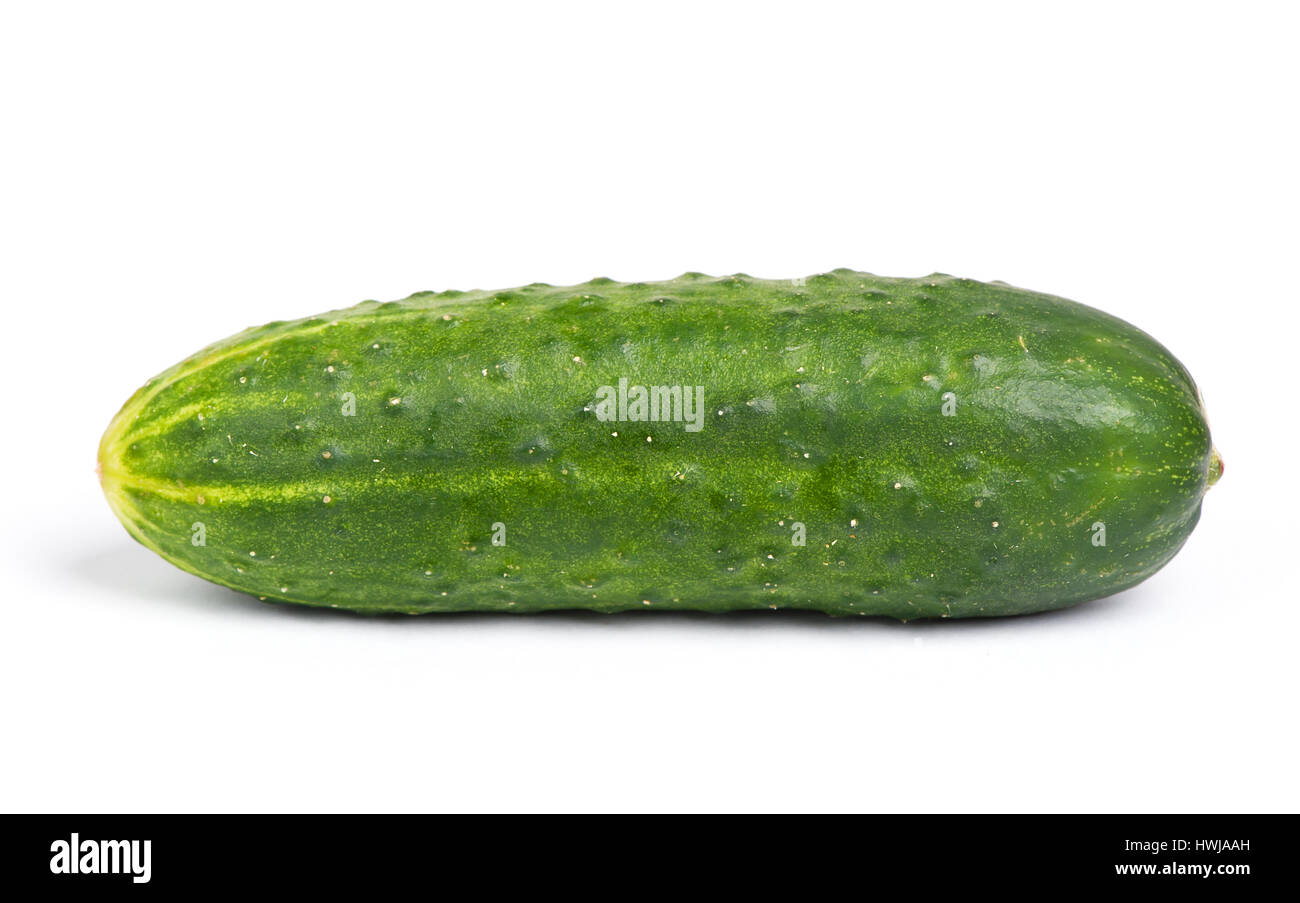 One cucumber isolated on white background Stock Photo - Alamy