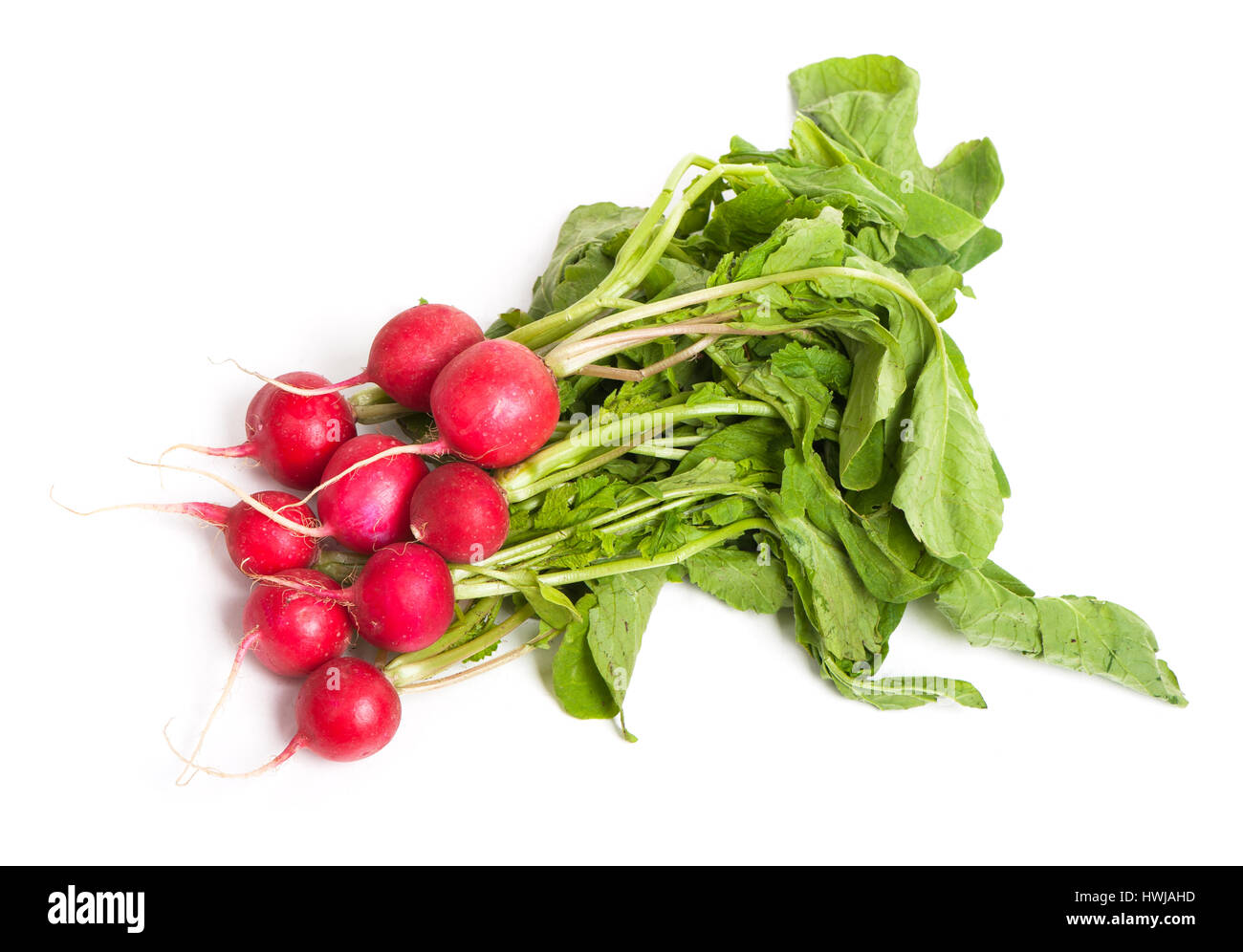 Fresh radishes isolated on white background Stock Photo - Alamy