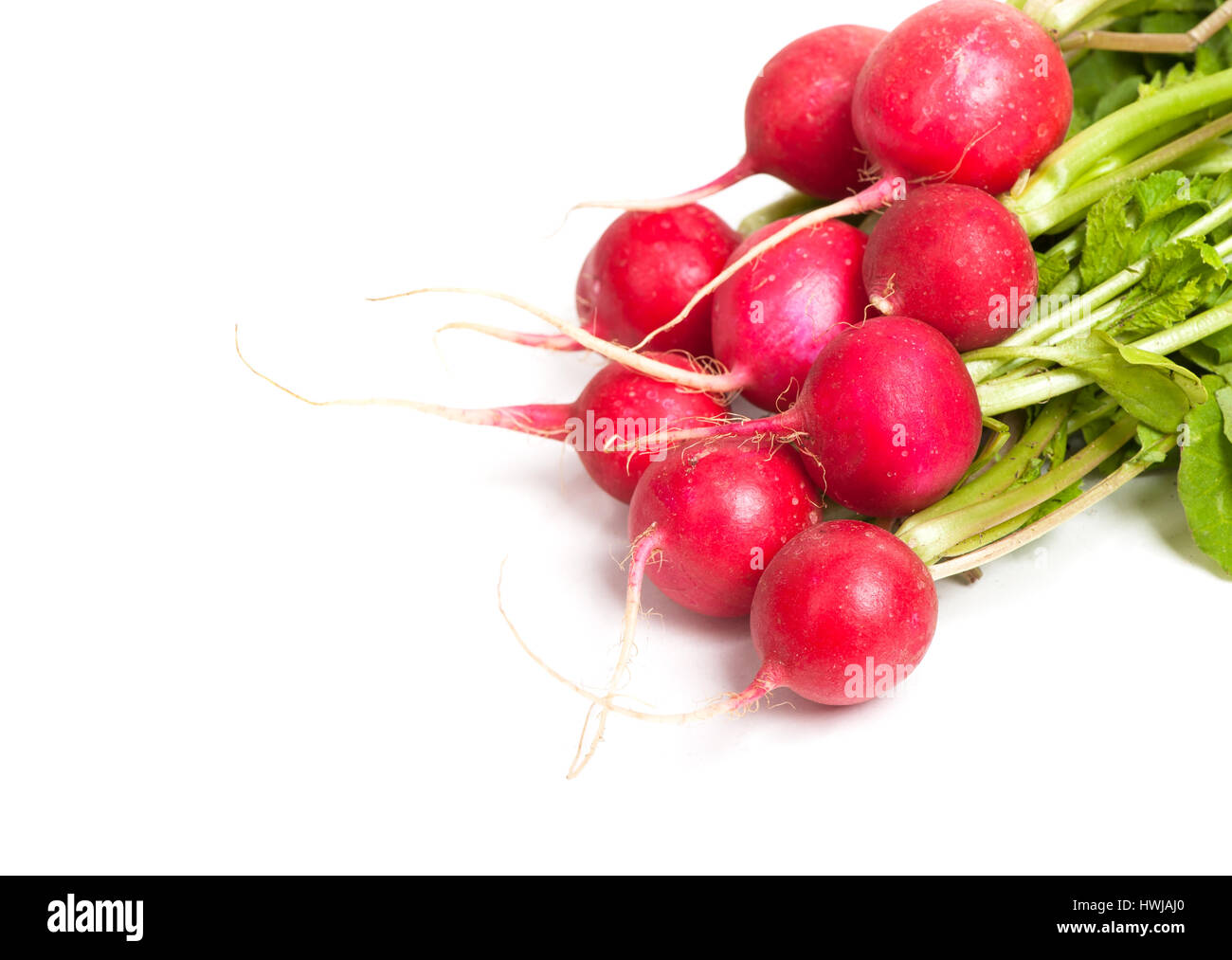 Fresh radishes isolated on white background Stock Photo - Alamy