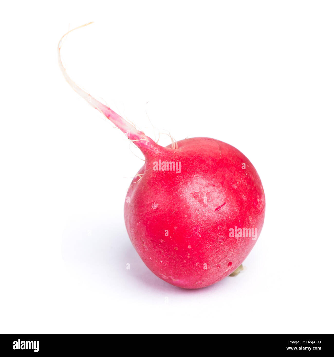 Fresh radish isolated on white background Stock Photo - Alamy