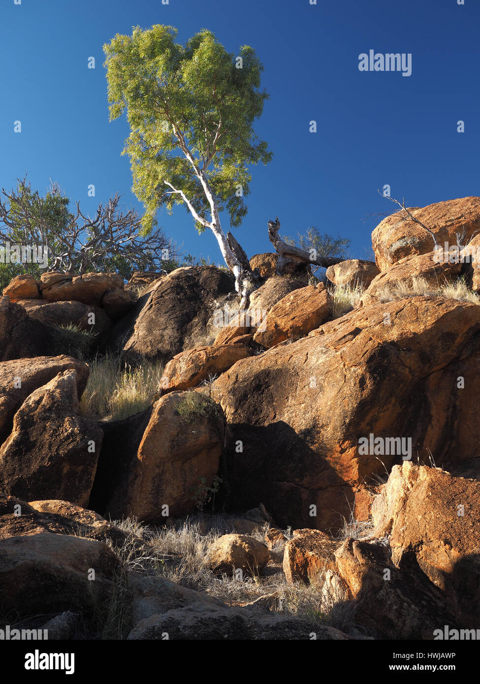 Old Telegraph Station High Resolution Stock Photography and Images - Alamy