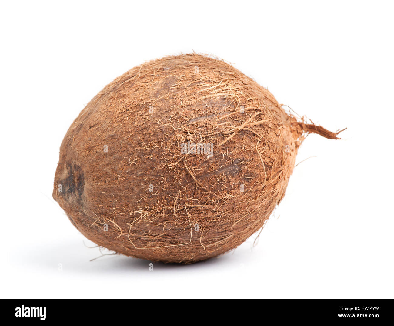 Is the edible fruit of the coconut palm Cut Out Stock Images & Pictures ...