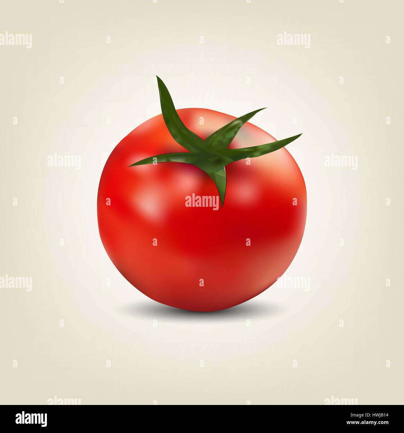 Ripe tomato photo Stock Vector Images - Alamy