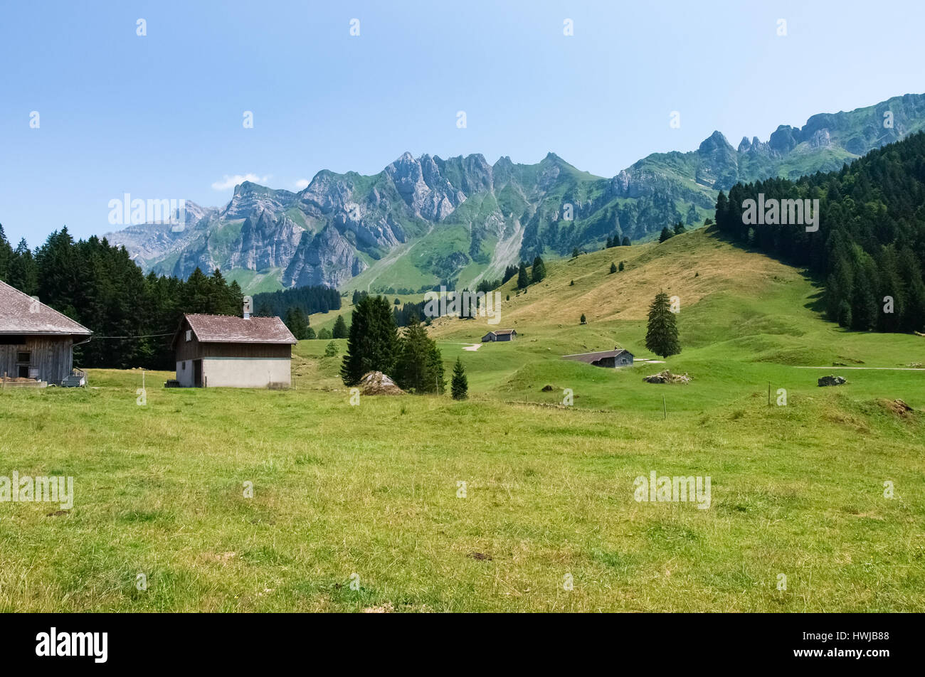 Swiss landscape, mountains and green meadows, mountains and green ...
