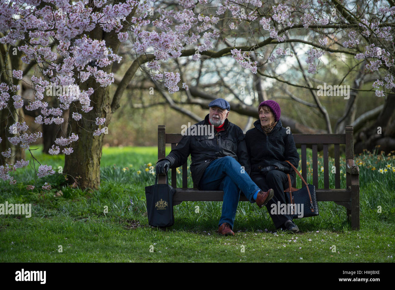 The bruce tree hi-res stock photography and images - Alamy