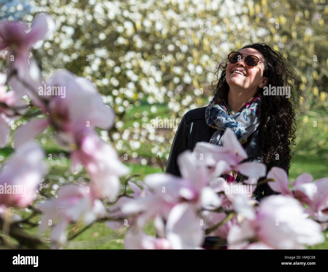 Cherry blossom in kew gardens hi-res stock photography and images - Alamy