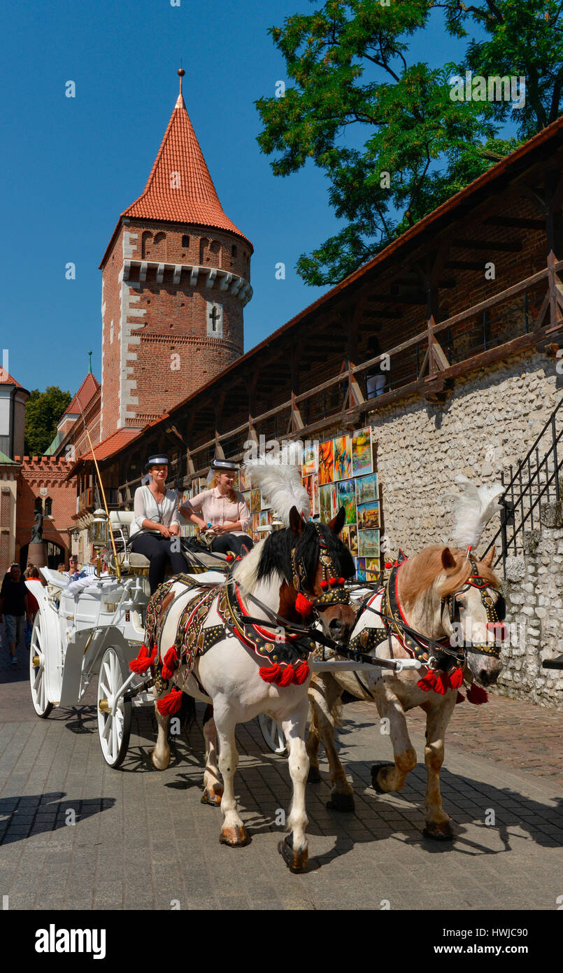 Pferdekutsche hi-res stock photography and images - Alamy