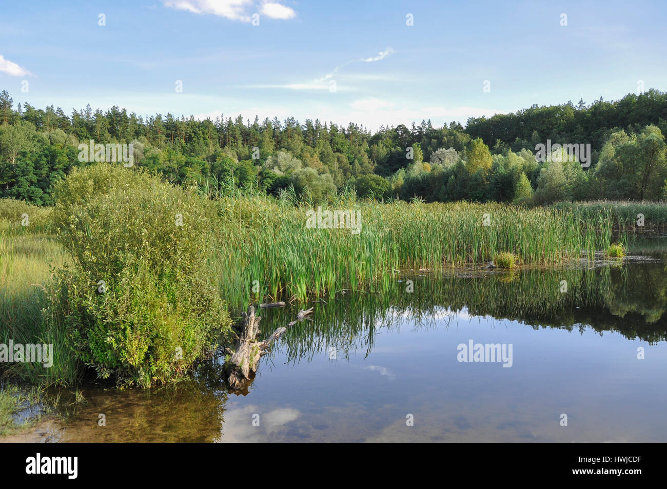 Grunewald, Berlin-Grunewald, Protected Landscape, Jagen 86, Berlin ...
