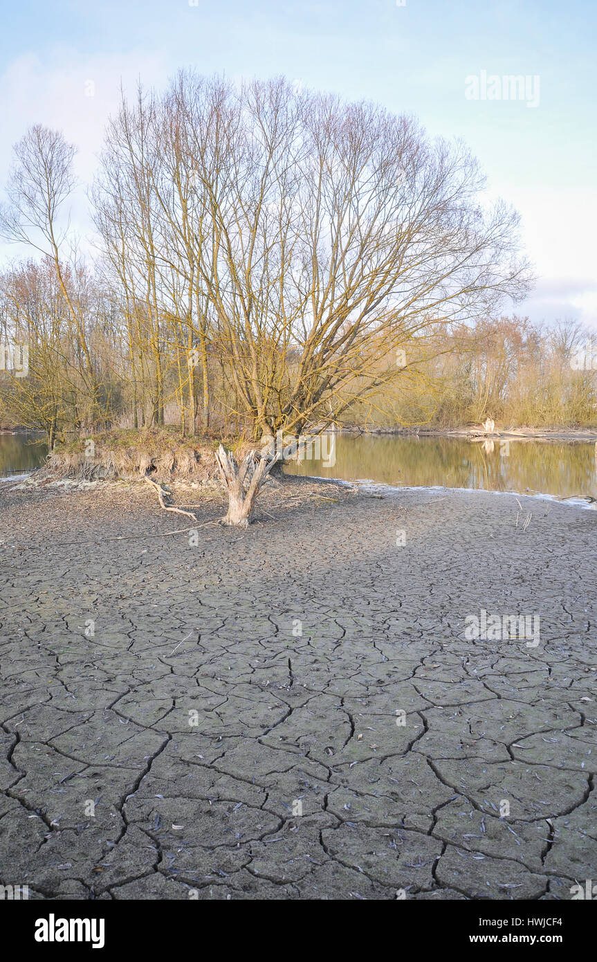 Drying Out Pond High Resolution Stock Photography and Images - Alamy