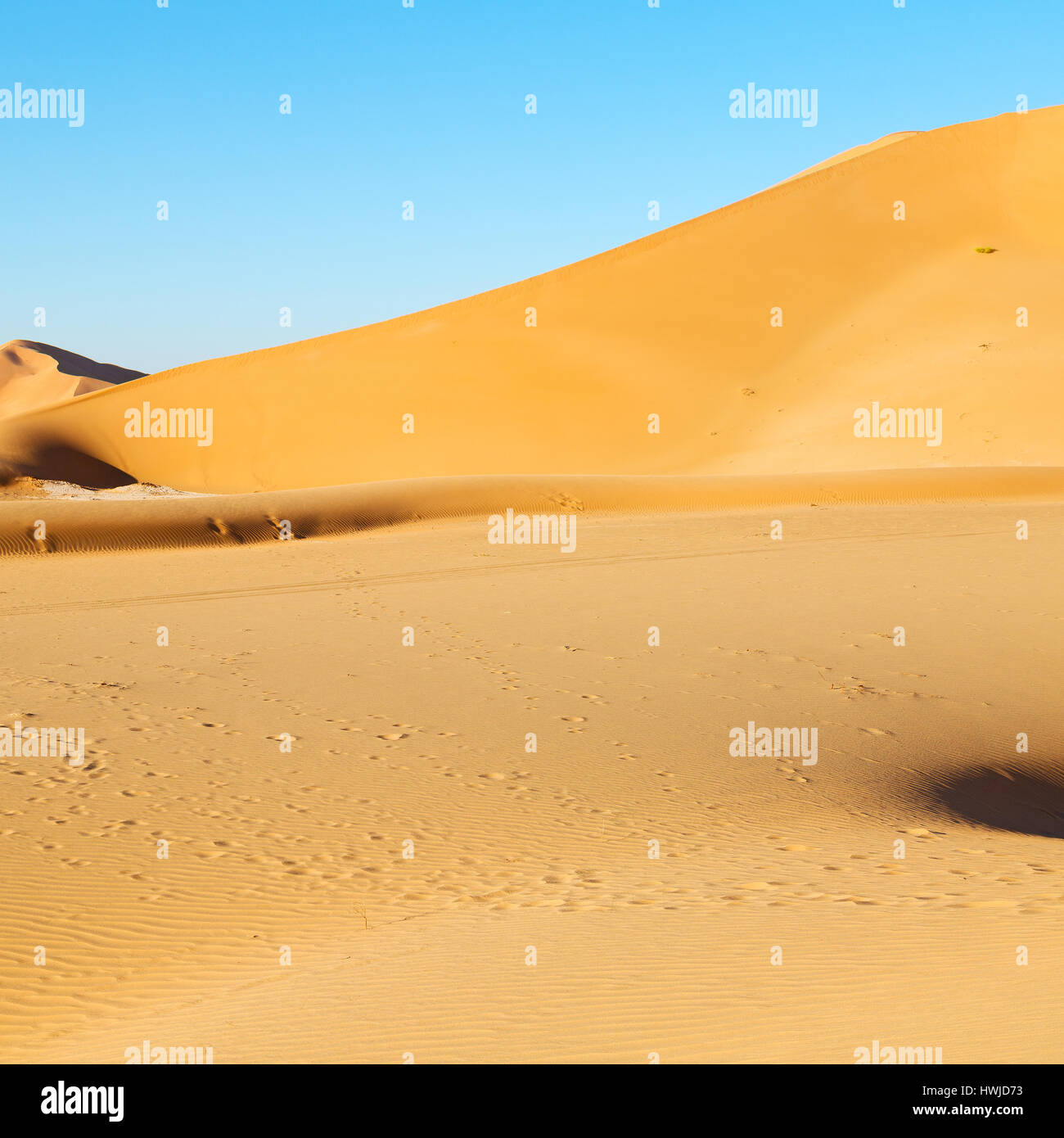 the empty quarter and outdoor sand dune in oman old desert rub al khali ...