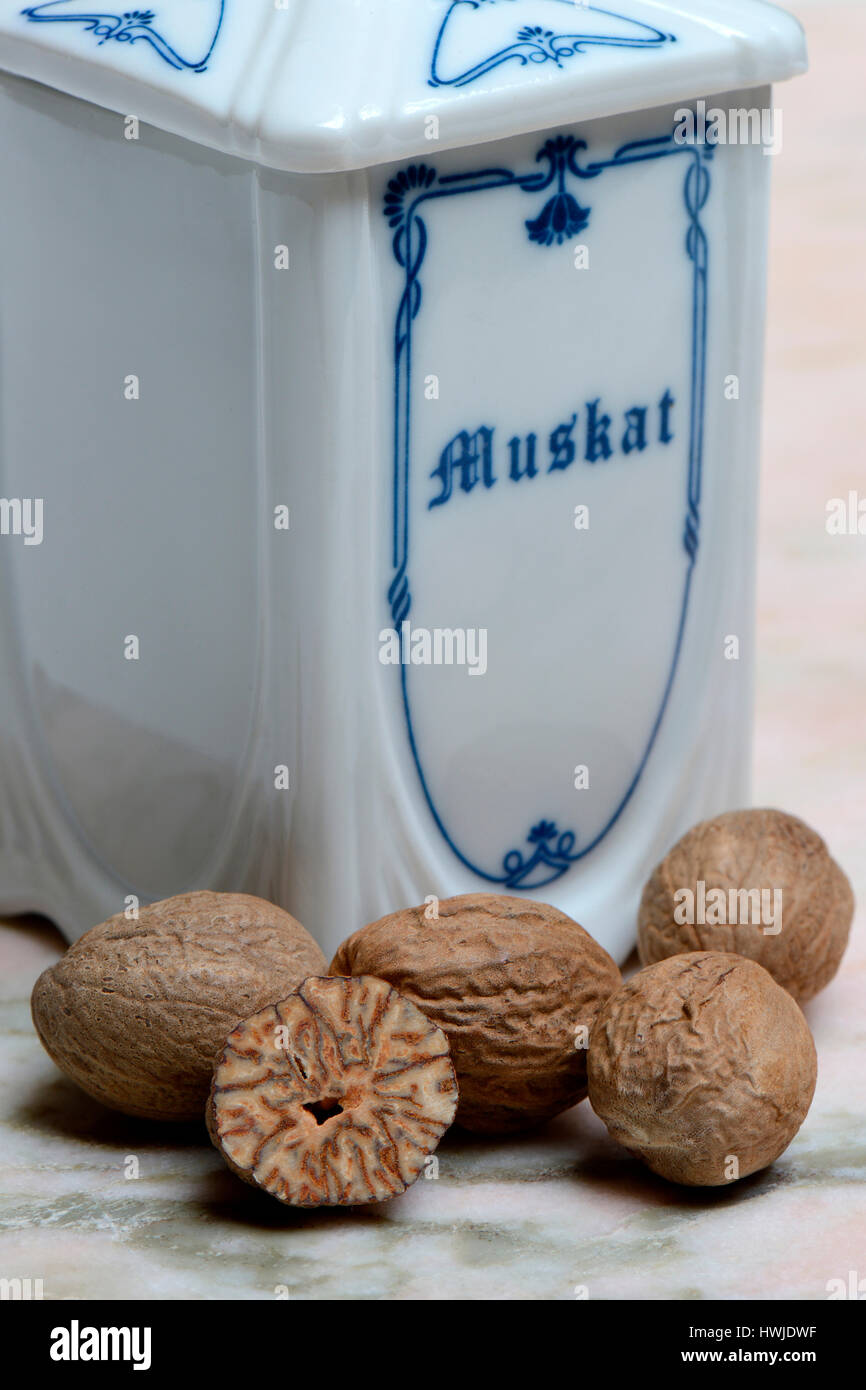 Muskatnuesse, , Myristica fragrans Stock Photo - Alamy