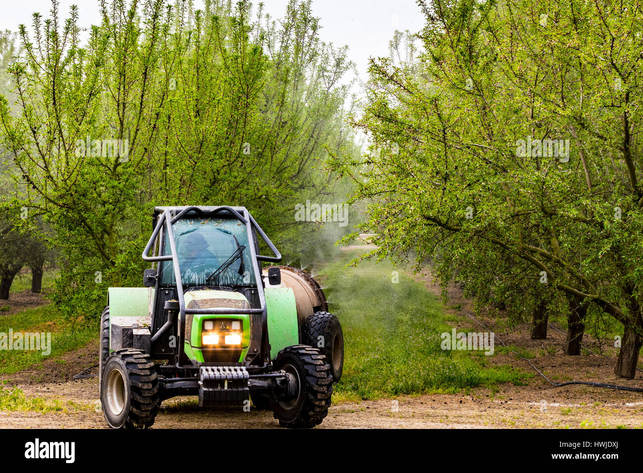 orchard, pollinate, pollinator, new, growth, tractor, spray, sprayer ...