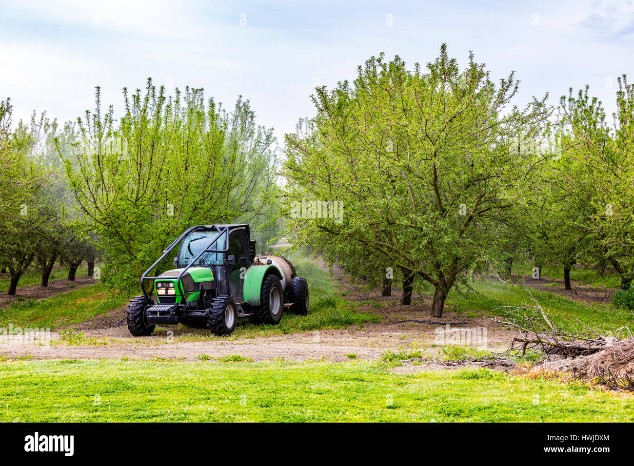 orchard, pollinate, pollinator, new, growth, tractor, spray, sprayer ...