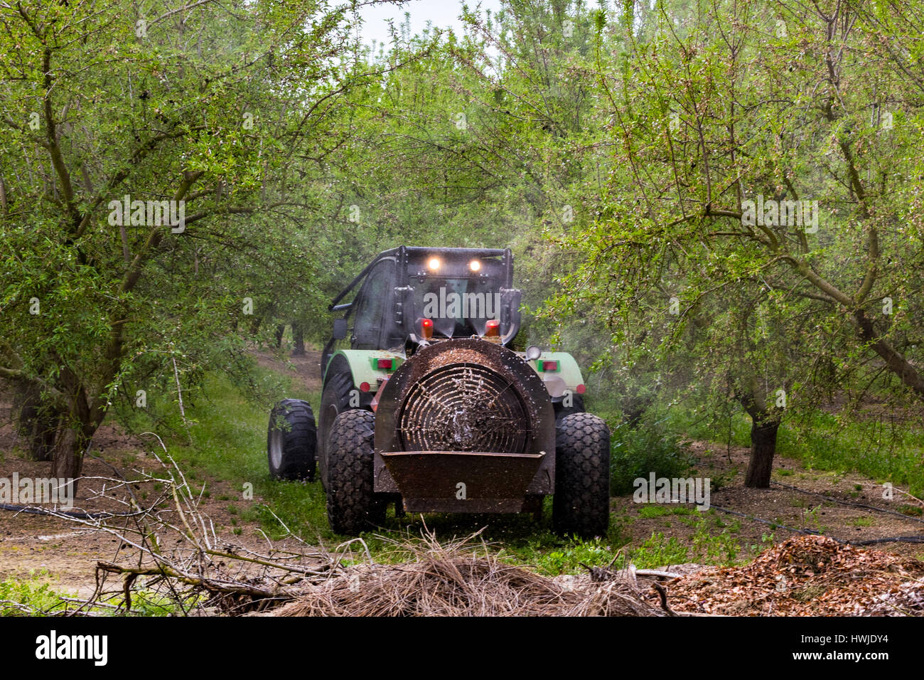 orchard, pollinate, pollinator, new, growth, tractor, spray, sprayer ...